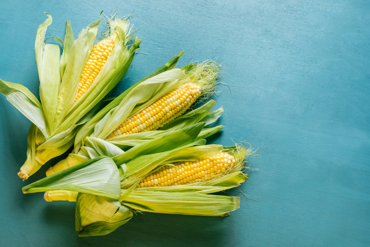 10 Vegetables That Have Caused Human Deaths - Crafting Your Home