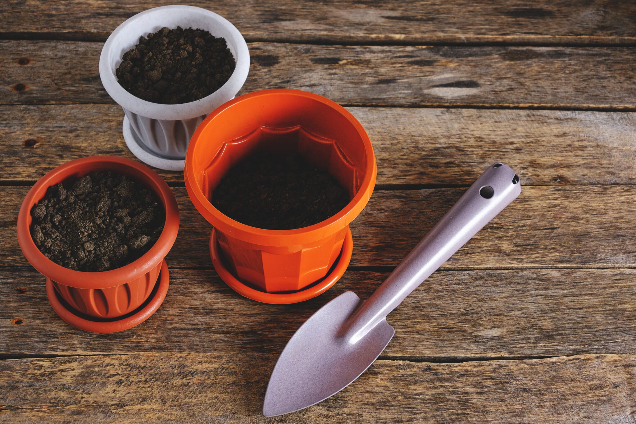 7 Container Gardening Tips for Beginners - Crafting Your Home