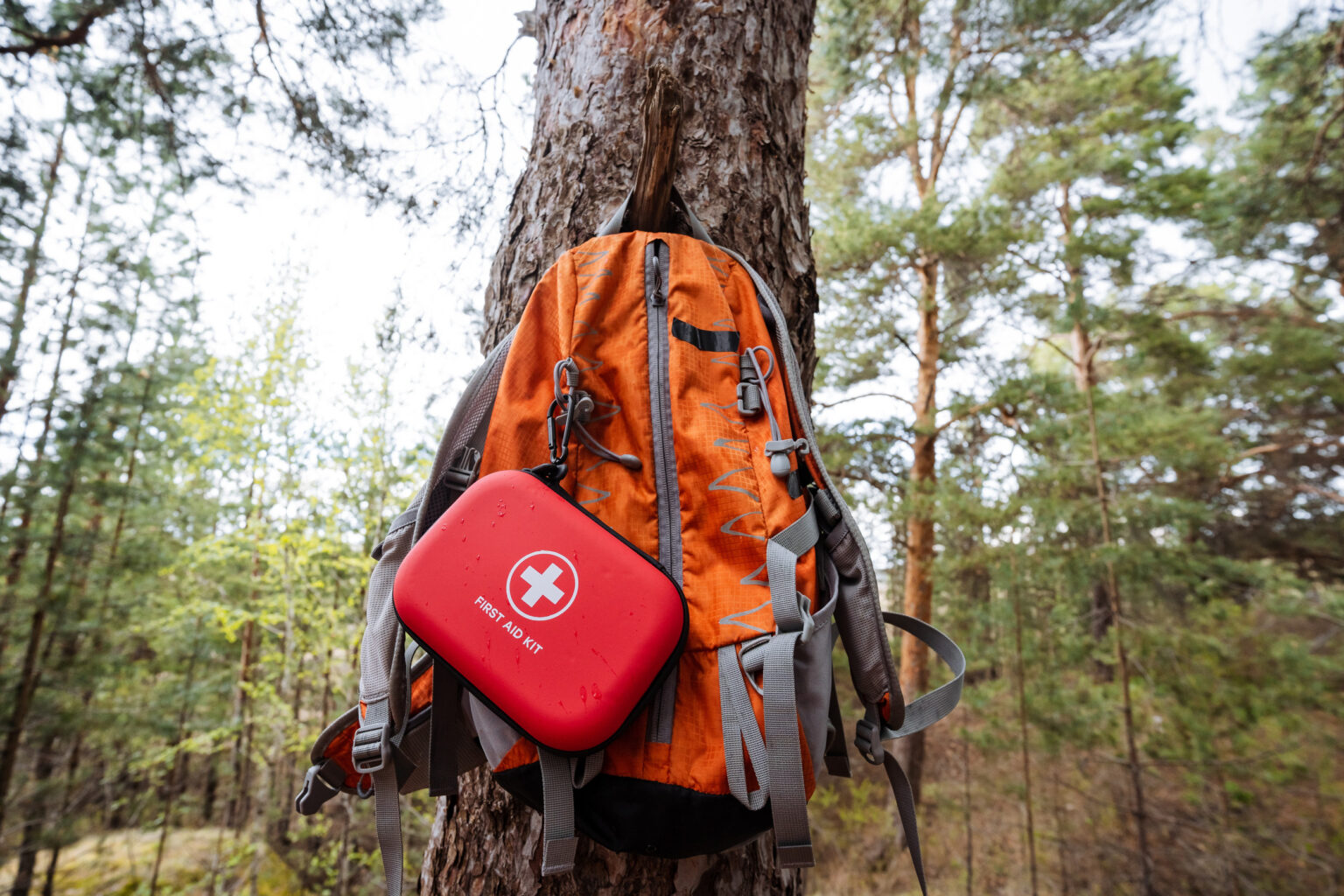 10 Camping Essentials You Should Never Forget - Crafting Your Home