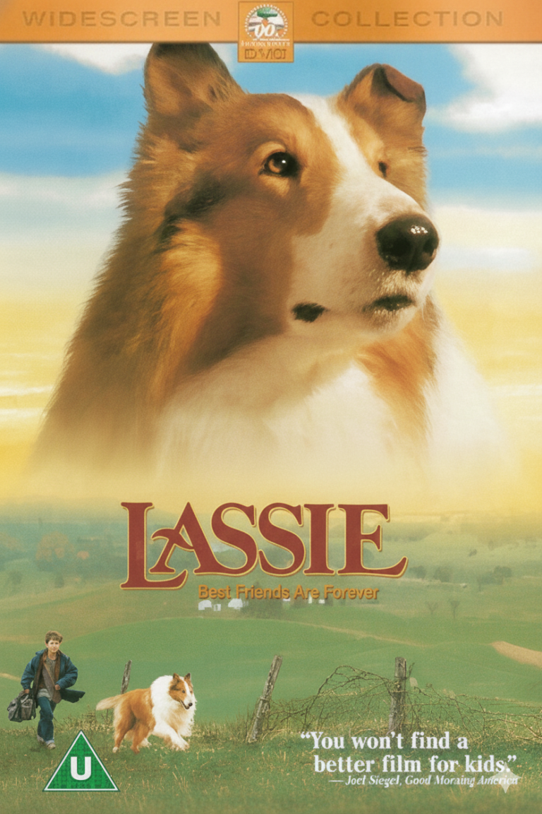 The Best Dog Movies Of All Time - Crafting Your Home