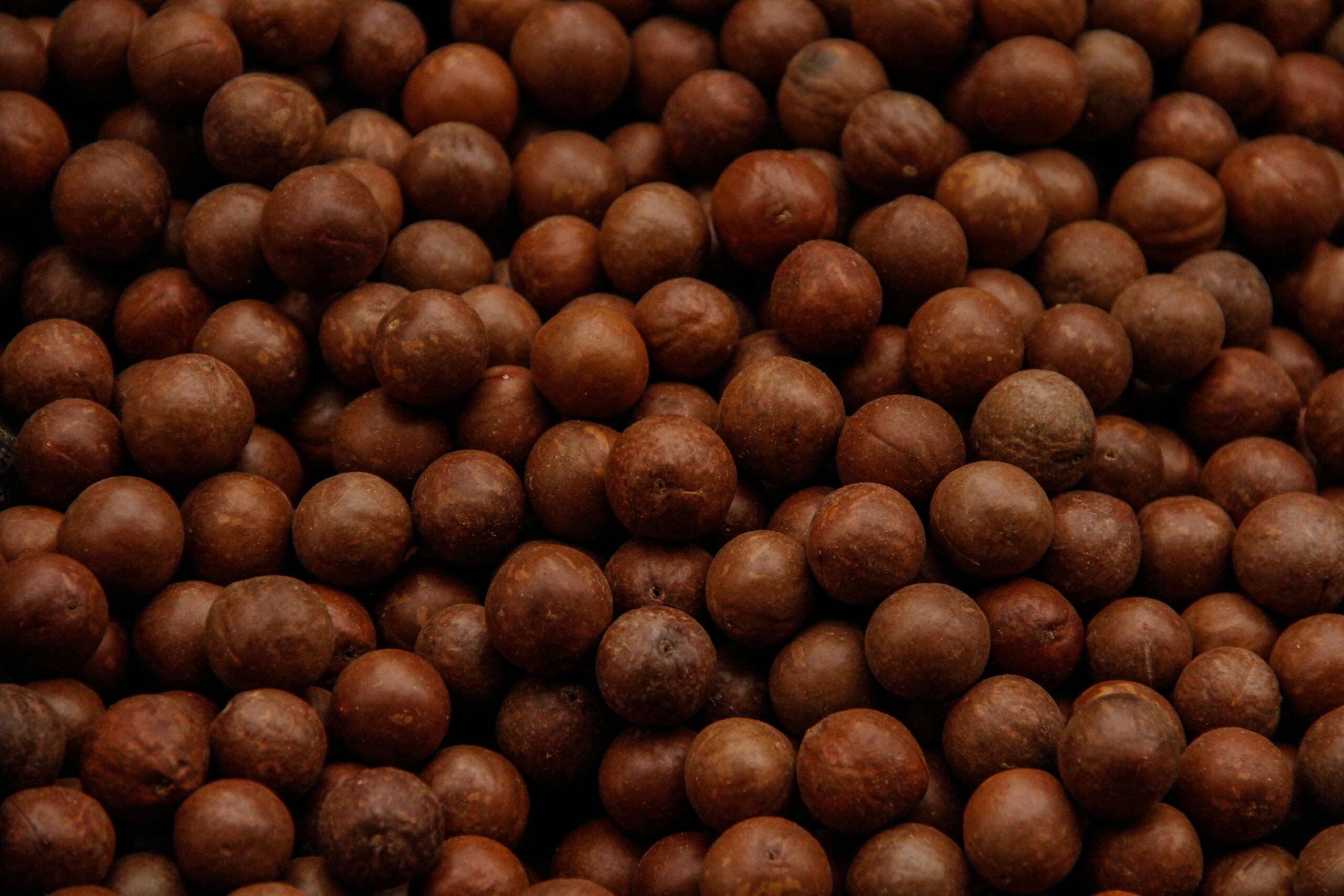 The 6 Most Dangerous Foods for Dogs - Crafting Your Home