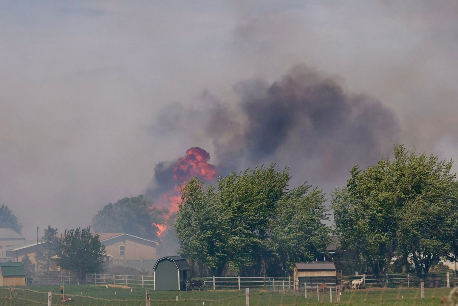 Fast-Moving Hermiston Brush Fire Destroys Outbuildings and Vehicles ...
